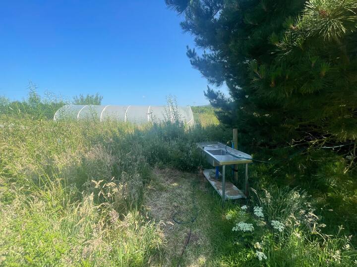 Wild Campsite (Terrace 3) Simple Facilities - Pool