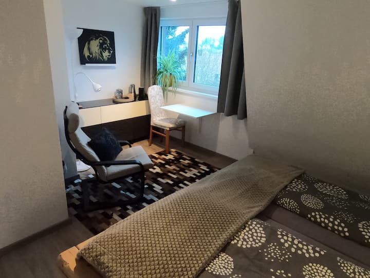 Modernes Zimmer In Charmantem Schindelhaus - Lichtenstein