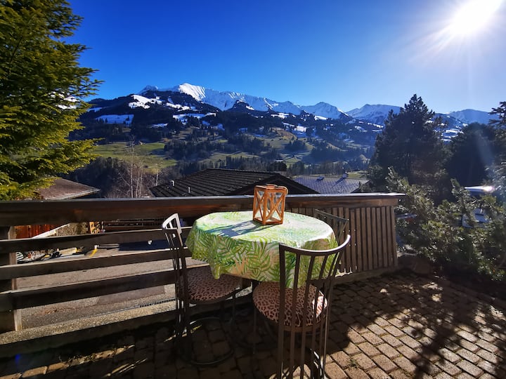 Gemütliche Sonnige Wohnung In Interlaken-region - Spiez