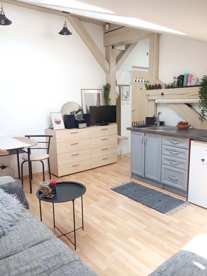 ÚTulný Podkrovný Apartmán - Liptovský Mikuláš