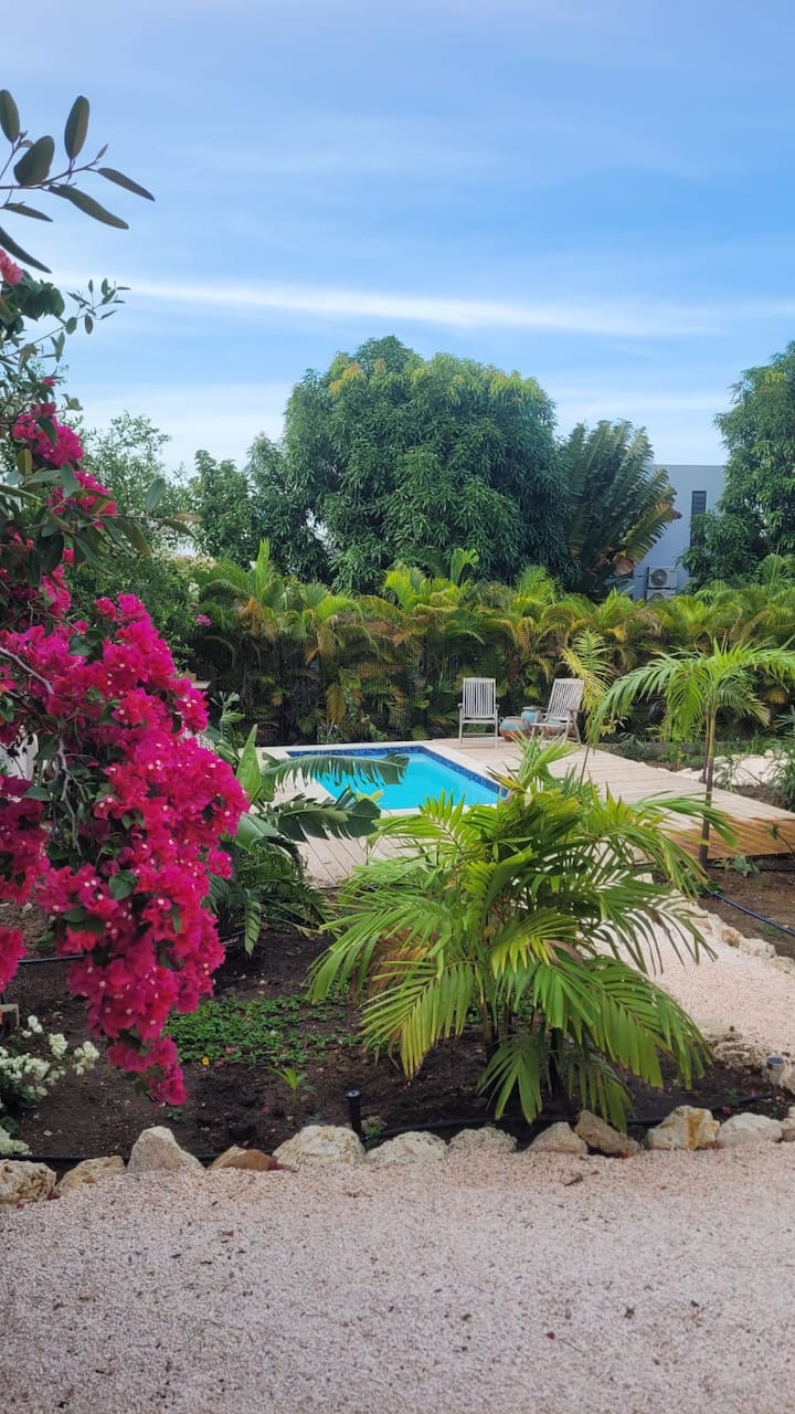 Toko Gem-tropical 2br Apt - Pool Near Jan Thiel - Curaçao