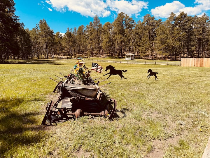 Cowboy Cabin Ranch - Rustic Luxury On 14 Acres - Black Forest, CO