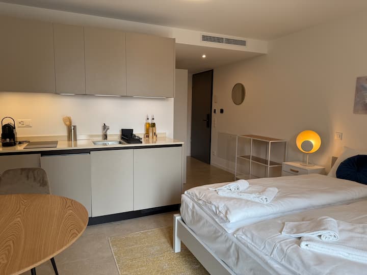Monolocale Standard Con Balcone - Locarno