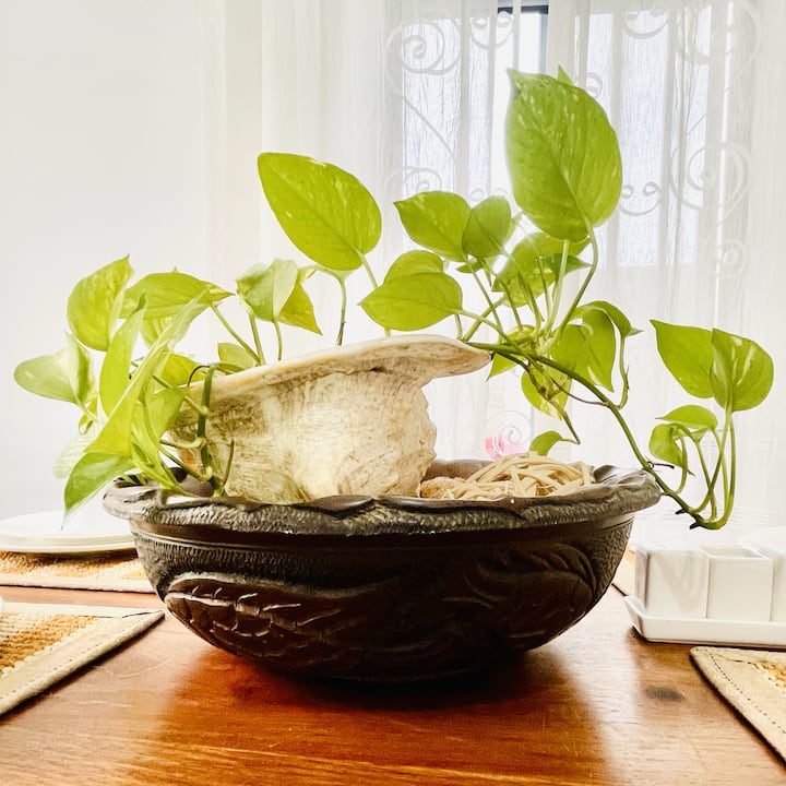 Kwale House - Zanzibar