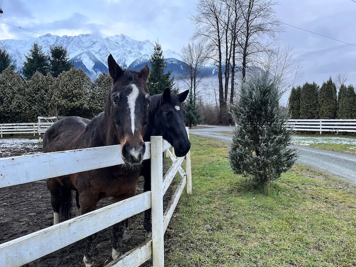 Mountain-view Guesthouse | Cozy Stay Near Town - Pemberton