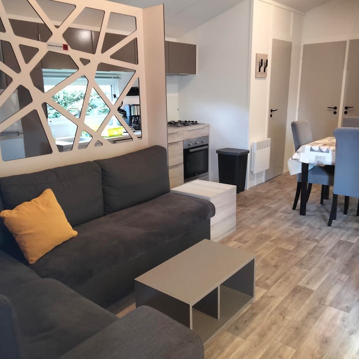 Mobil Home - 3 Ch - Lv - Mal - 2sde - 2 Wc - Clim - La Palmyre