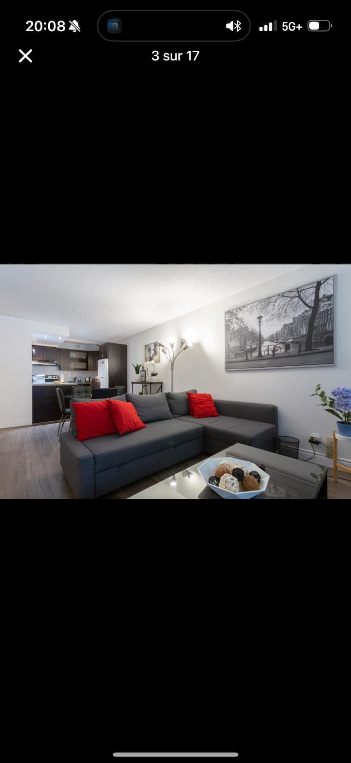 Cozy Nice Appartement - Montreal