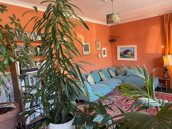 Spacious Big Bright Home - Dublin