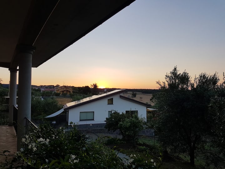 Ch Arborea (Septentriones) - Bolsena