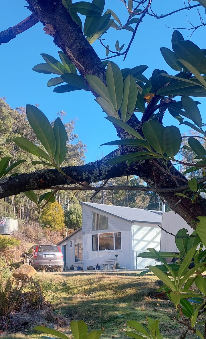 Laurel Tree Cottage - Bush Retreat - 朗瑟士敦