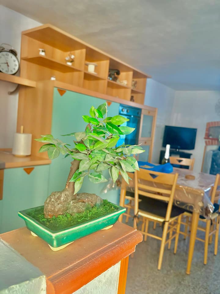Teresa's House - Pisticci