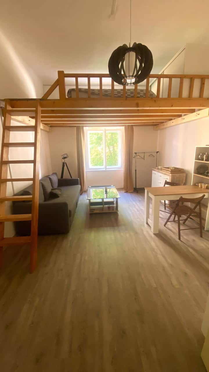 Charming Split-level Studio - Praga