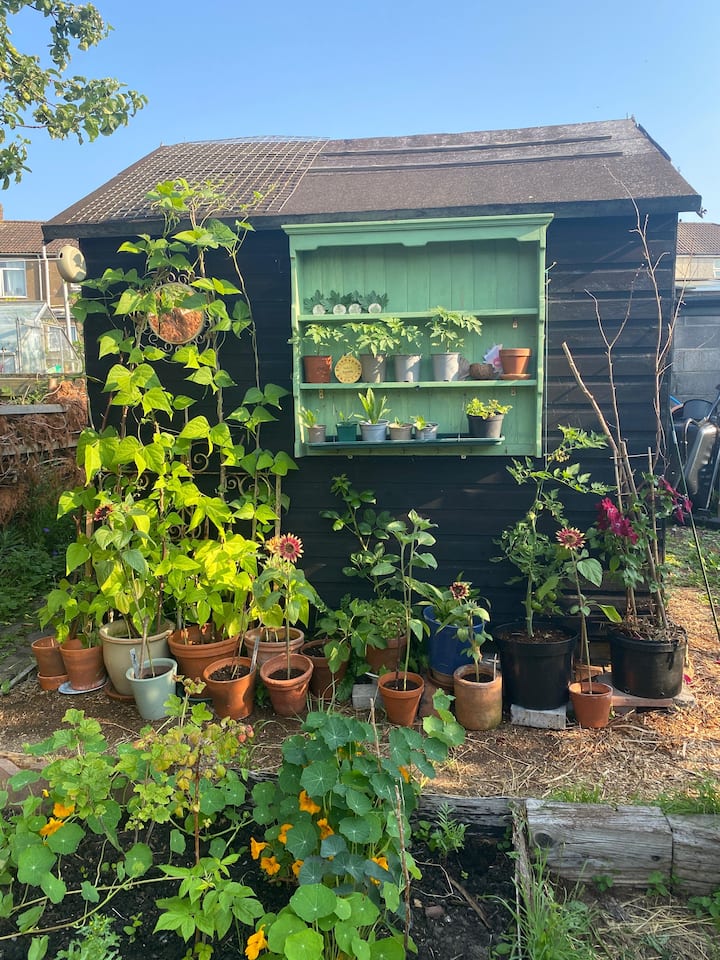 Double Room/house, East Bristol - Brístol