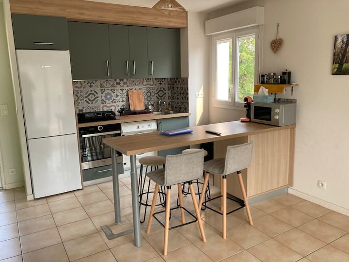 Appartement Cosy Au Calme à Léon - Linxe