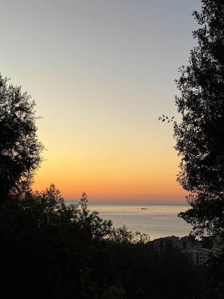 Appartement T3 De Charme Terrasse  Hauteurs Bastia - Bastia