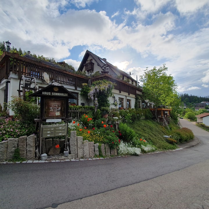 Ferienwohnung "Tannenzapfen" Mit Großer Terrasse - Hinterzarten