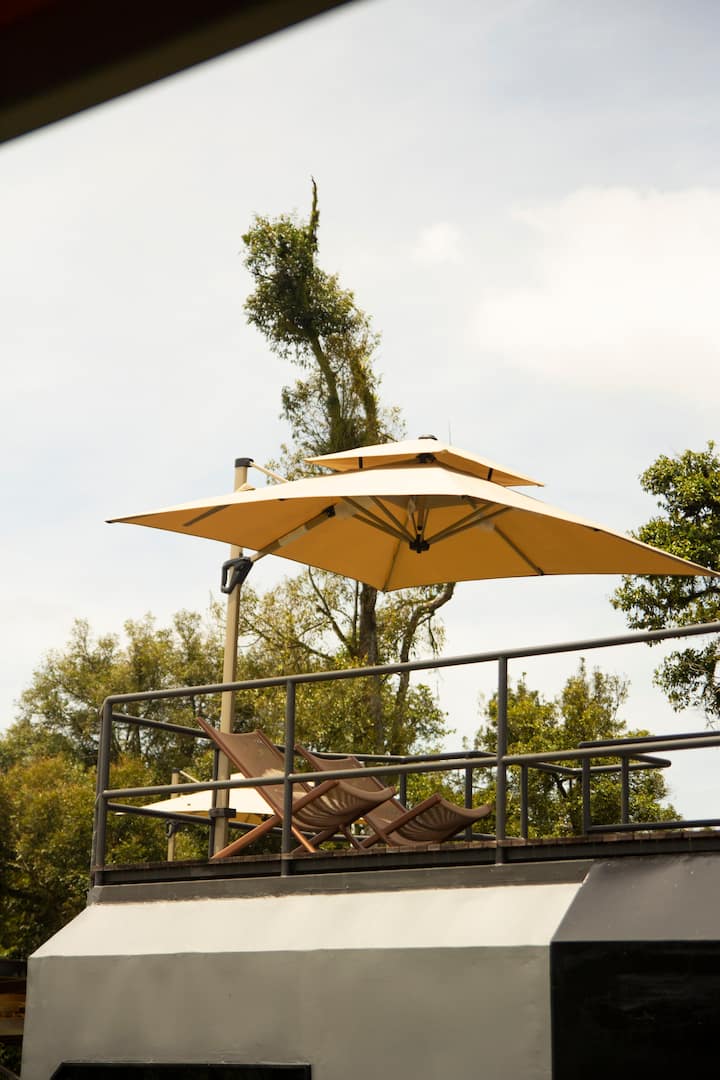 Tc01 · Rooftop Vibes Wild Nature Feels - 文冬