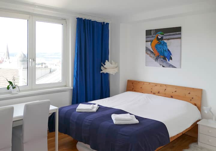 Apartamento Buena Vista / Double R. - Linz