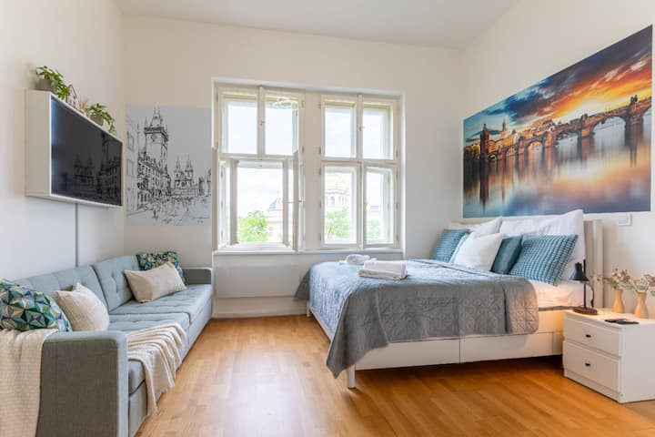 Entire Unit Next To Wenceslas Square - Praga