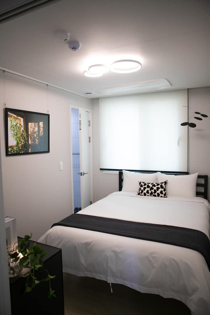 3r4b/혜화역도보5분/경복궁/서촌한옥마을/n서울타워/익선동한옥마을/명동/동대문/성균관대 - Seoul