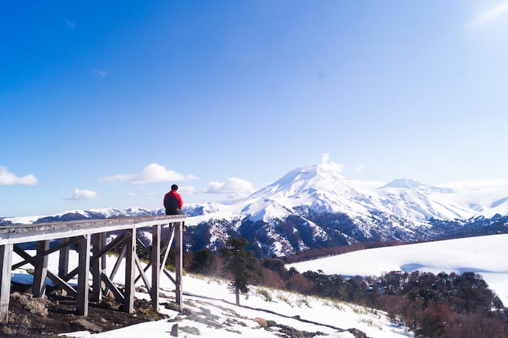 Vive La Aventura En Lonquimay - Lonquimay