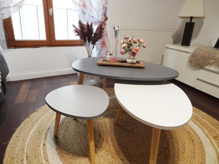 Le Cocon Paisible - Mialet