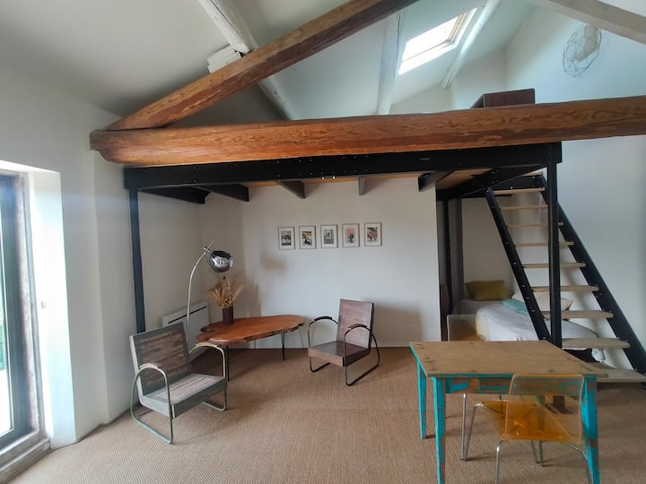Spacieux Studio Mezzanine - Lauris