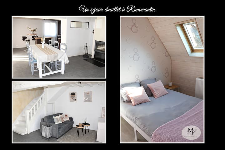 Cozy Maison Proche Des Châteaux Et Du Zoo Beauval - Romorantin-Lanthenay