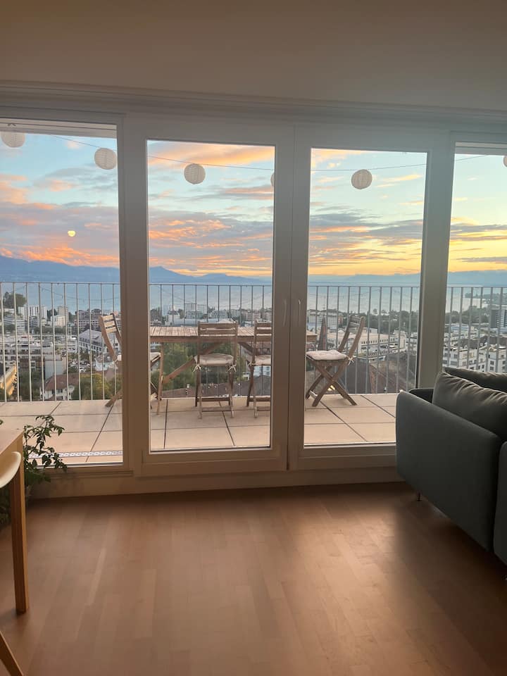 Superbe Vue Lac Et Montagne - Lausanne