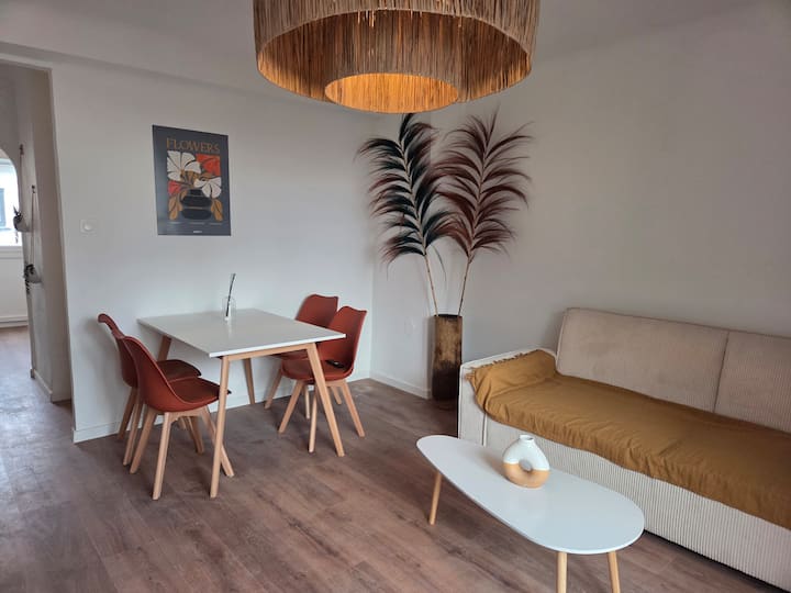 Bel Appartement Traversant Et Lumineux - Montpellier