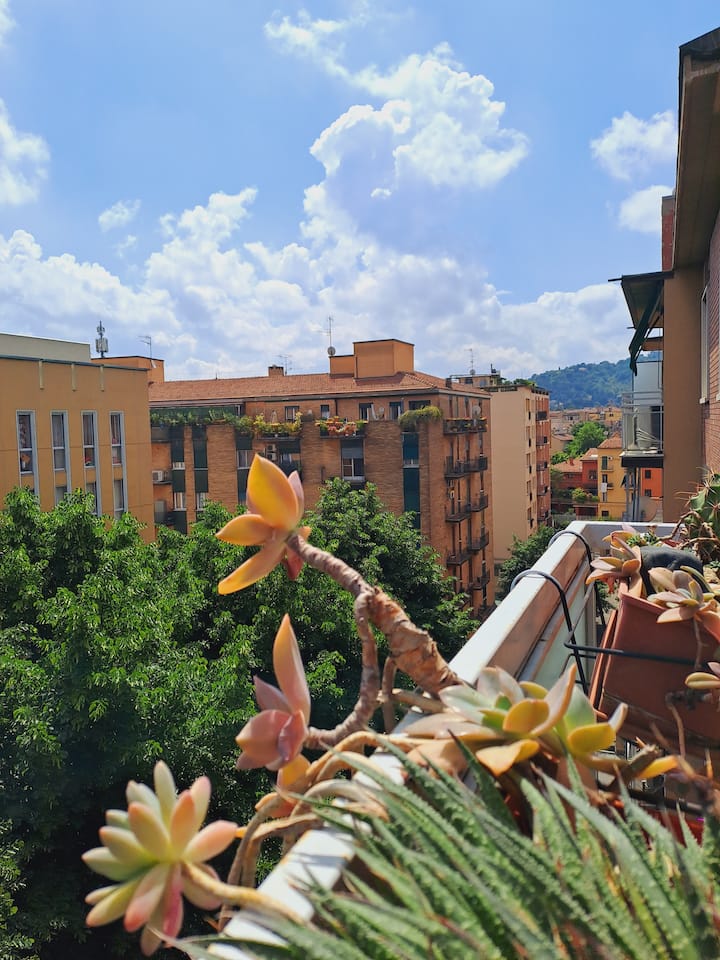 [Historic Canal] 2 Bed 2 Bath - Bolonia