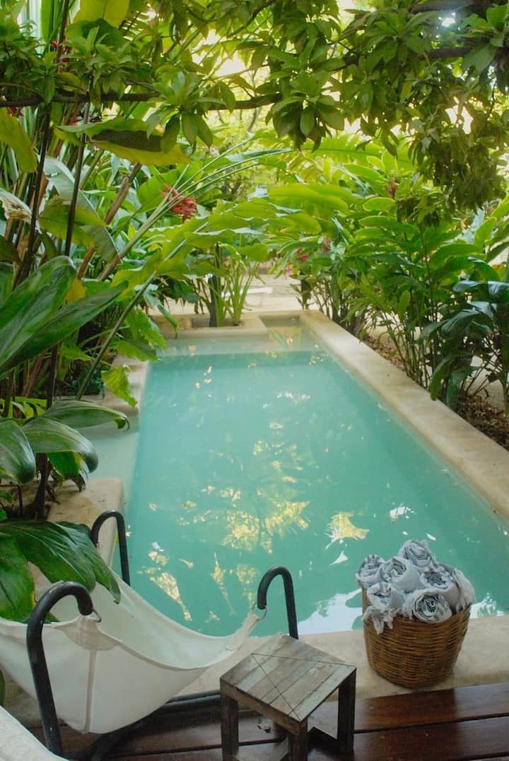Beautiful Historic Home With Tropical Pool - Mérida