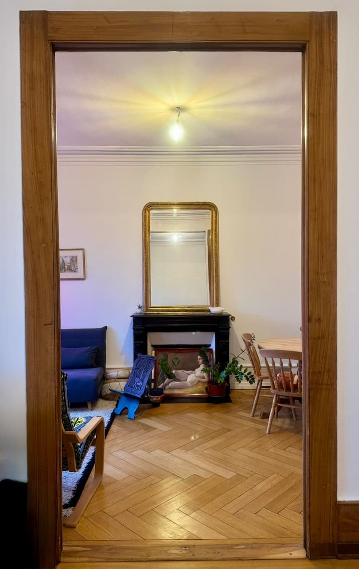 Apt Haussmannien Cheminée&balcon - Genève