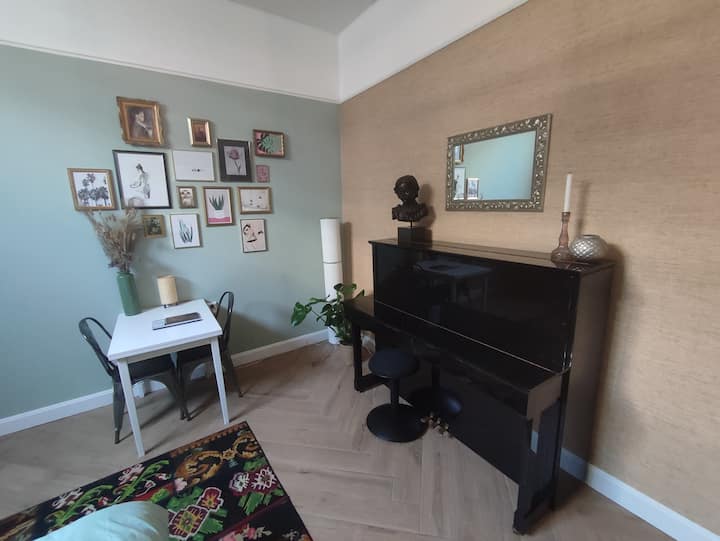 Luxe Ruimte In 19e-eeuwse Schil - Dordrecht