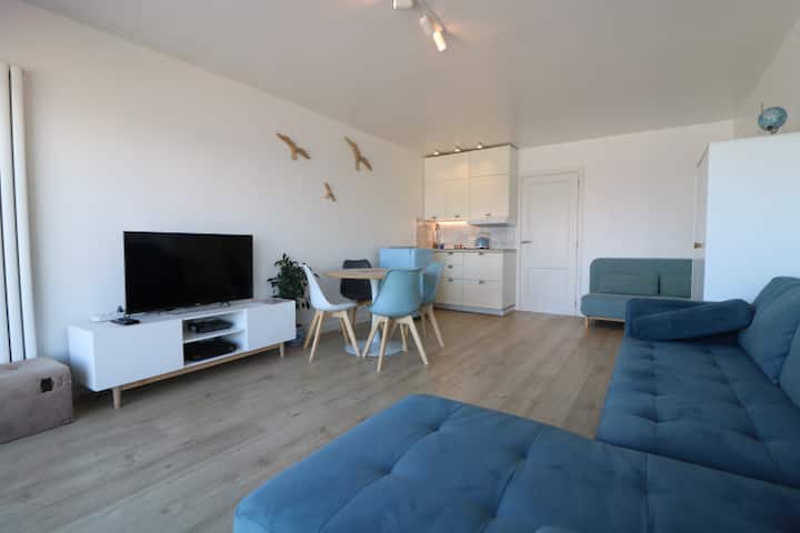 Golfslag 7b, Studio Met Zeezicht Te Blankenberge - Blankenberge