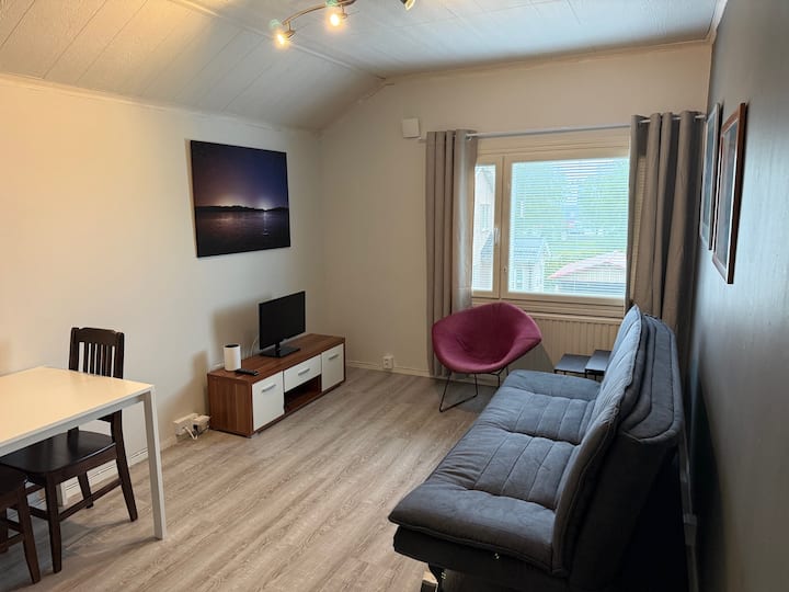 Hinkula-kukonkarinkatu 11-vanhan-rauman Tuntumassa - Eurajoki