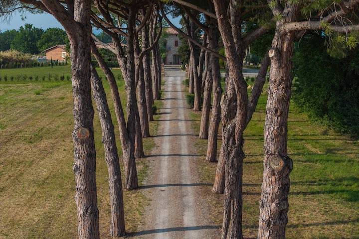 Il Cristallo – Dream Getaway In Tuscany - Poggibonsi