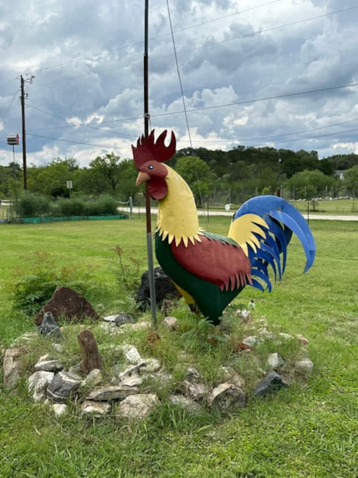 Hen House Cottage - San Marcos, TX