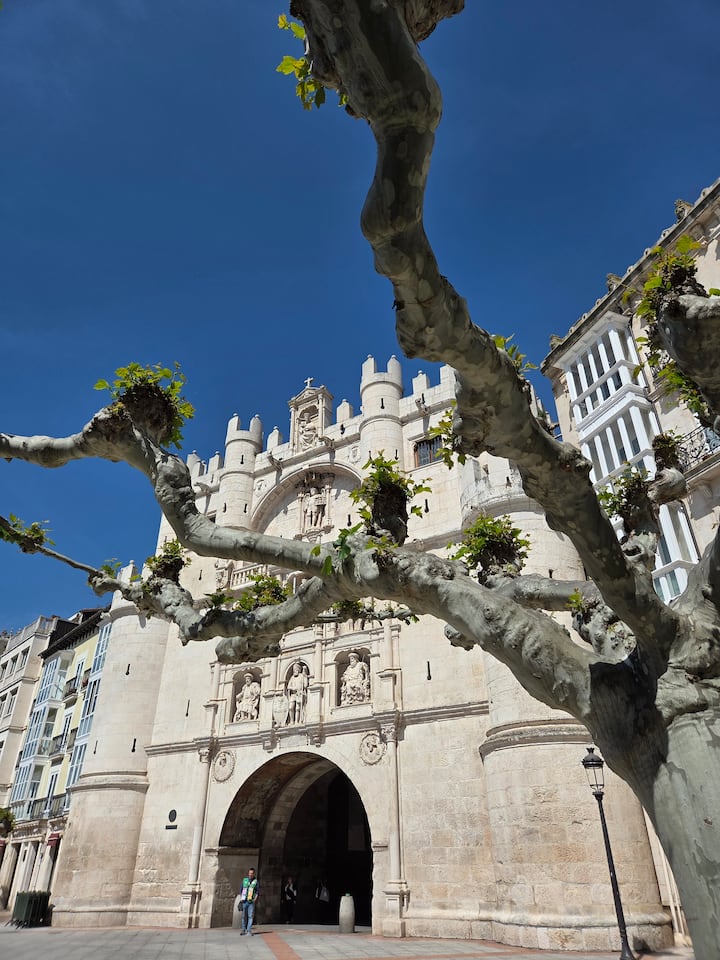 ÁTico En El Centro De La Ciudad. - Burgos