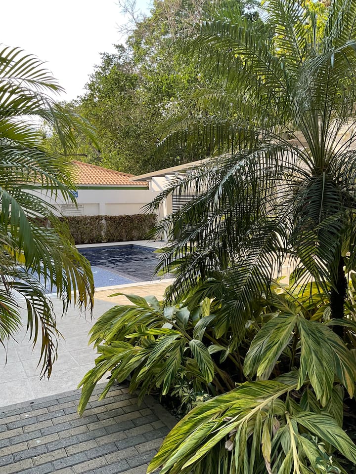 One Executive Condo - San Pedro Sula