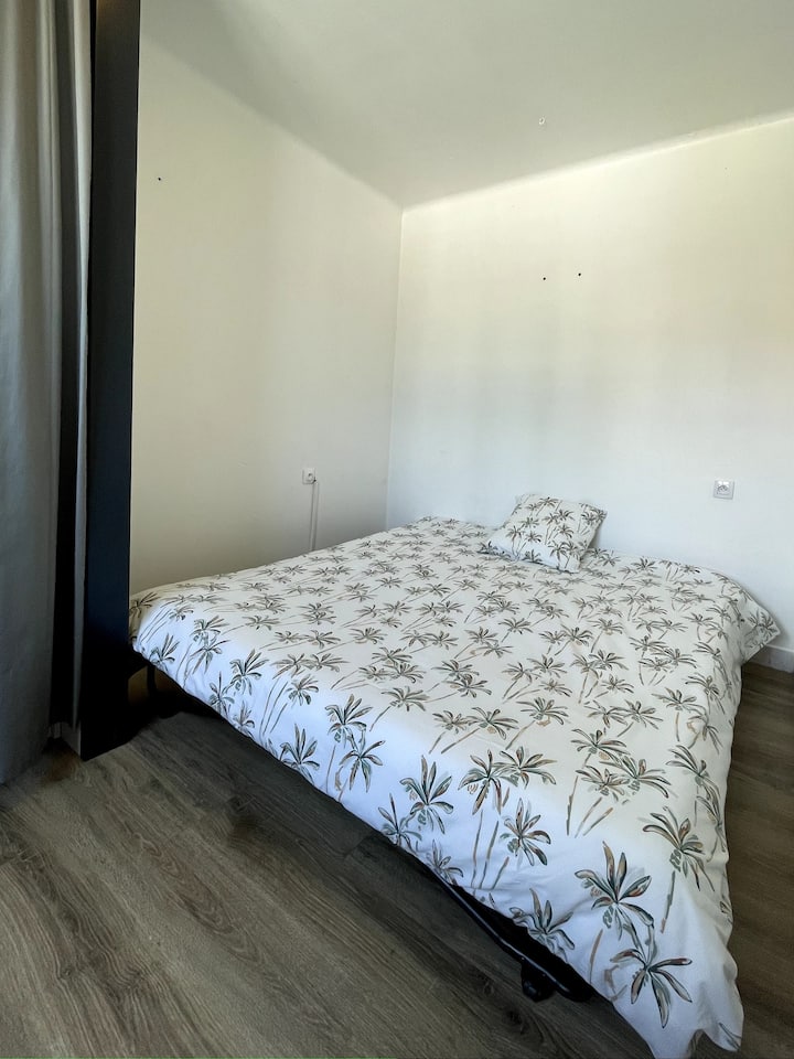 Chambre Proche Du Centre-ville - Seynod
