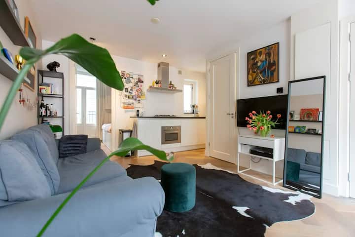 Fijn Appartement In Amsterdam Oud-west - Amszterdam
