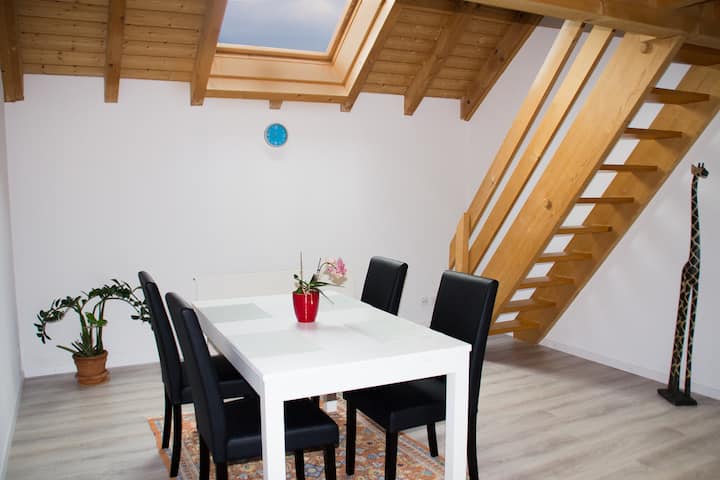 Appartement Dans Maison Vue Sur Le Lac, Gwatt/thun - Thun