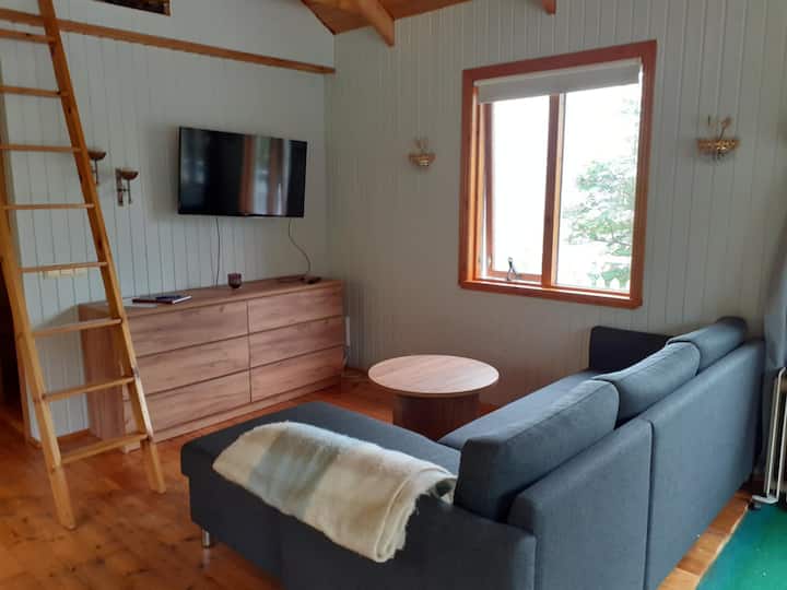 Cozy Cabin In A Peaceful Area - Islande
