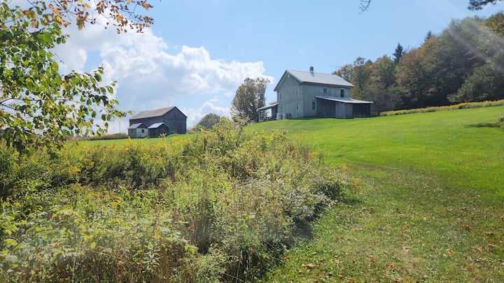 Century Farmhouse On 200 Secluded Acres - Hancock, NY
