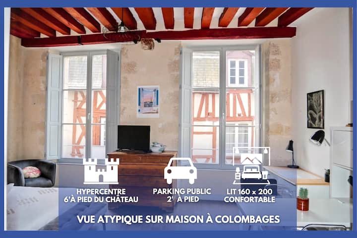 La Demeure De Beauvoir - Le Renaissance - Blois