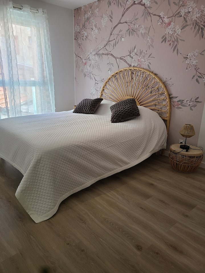 Le Cocon De Francine - ibis Chambery