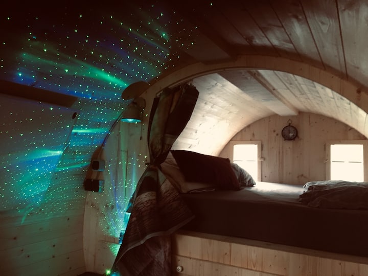 100 1 Nacht Schlaffass & Tinyhaus Im Park - Springe