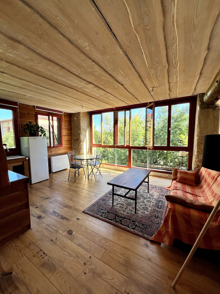 Gîte Cocooning En Pleine Forêt - Pamiers