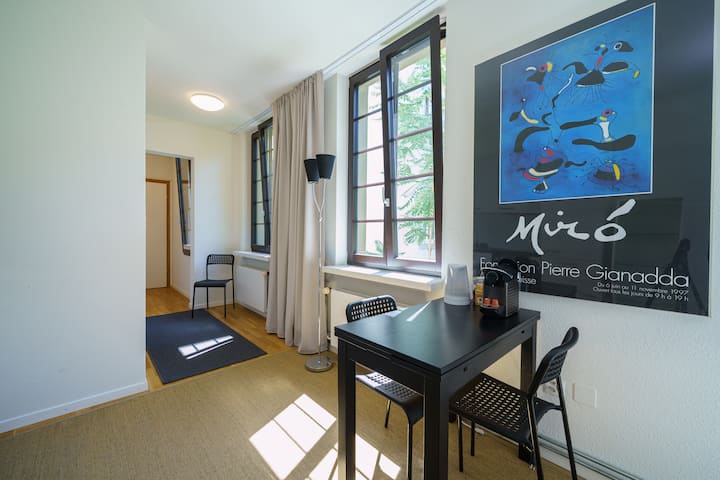 City Studio Miró "Your Place In Basel” - Basel